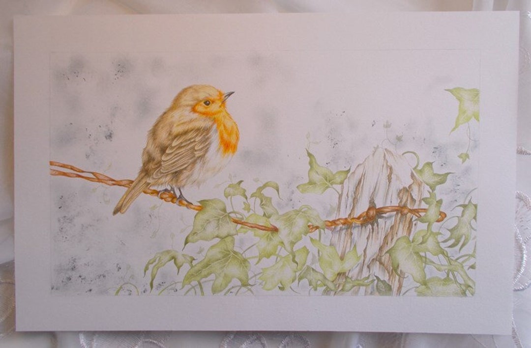 Robin Drawing, Hand Drawn Robin Art, ORIGINAL Drawing - Etsy