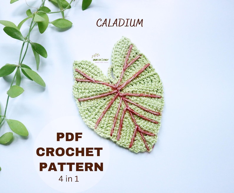 Houseplant Coaster Crochet Pattern Bundle | Monstera, Coleus, Caladium ...