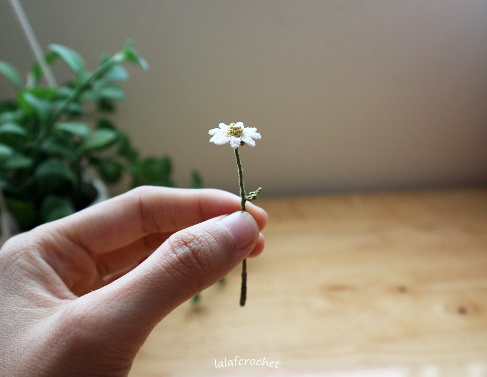 Miniature Daisy Dollhouse Flowers Collectible Fairy Garden | Etsy