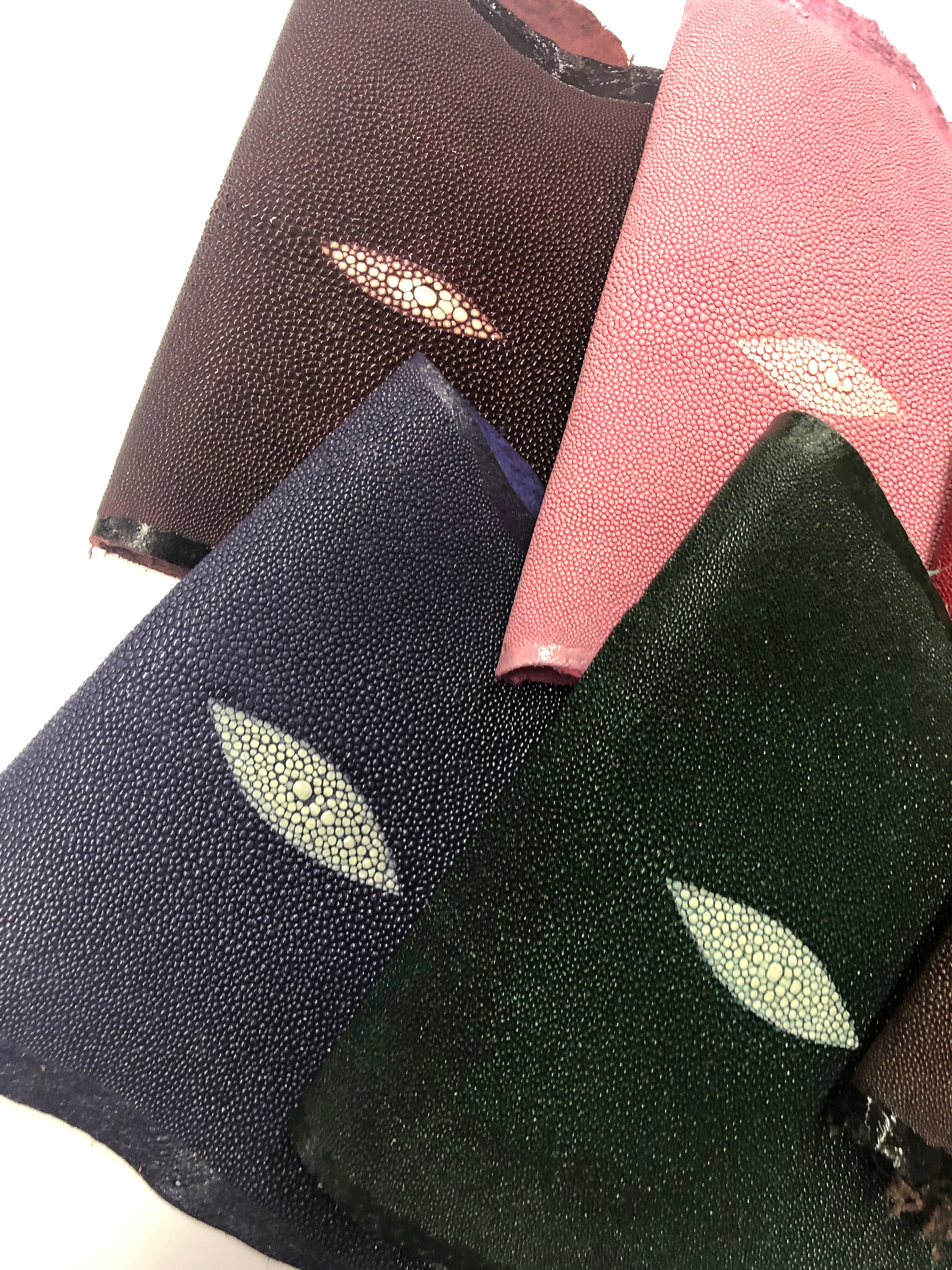 GENUINE Stingray LEATHER Skins in Many Colors | Etsy