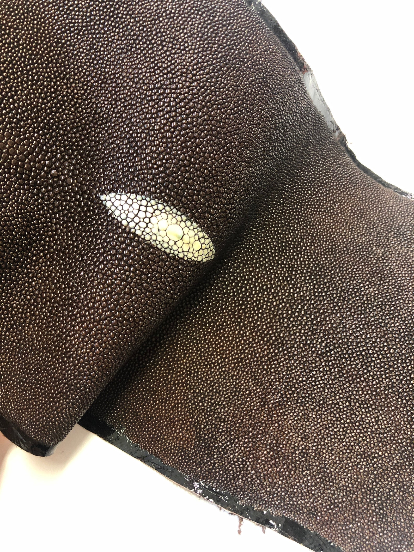 STINGRAY Brown GENUINE Stingray LEATHER Skins Size - Etsy