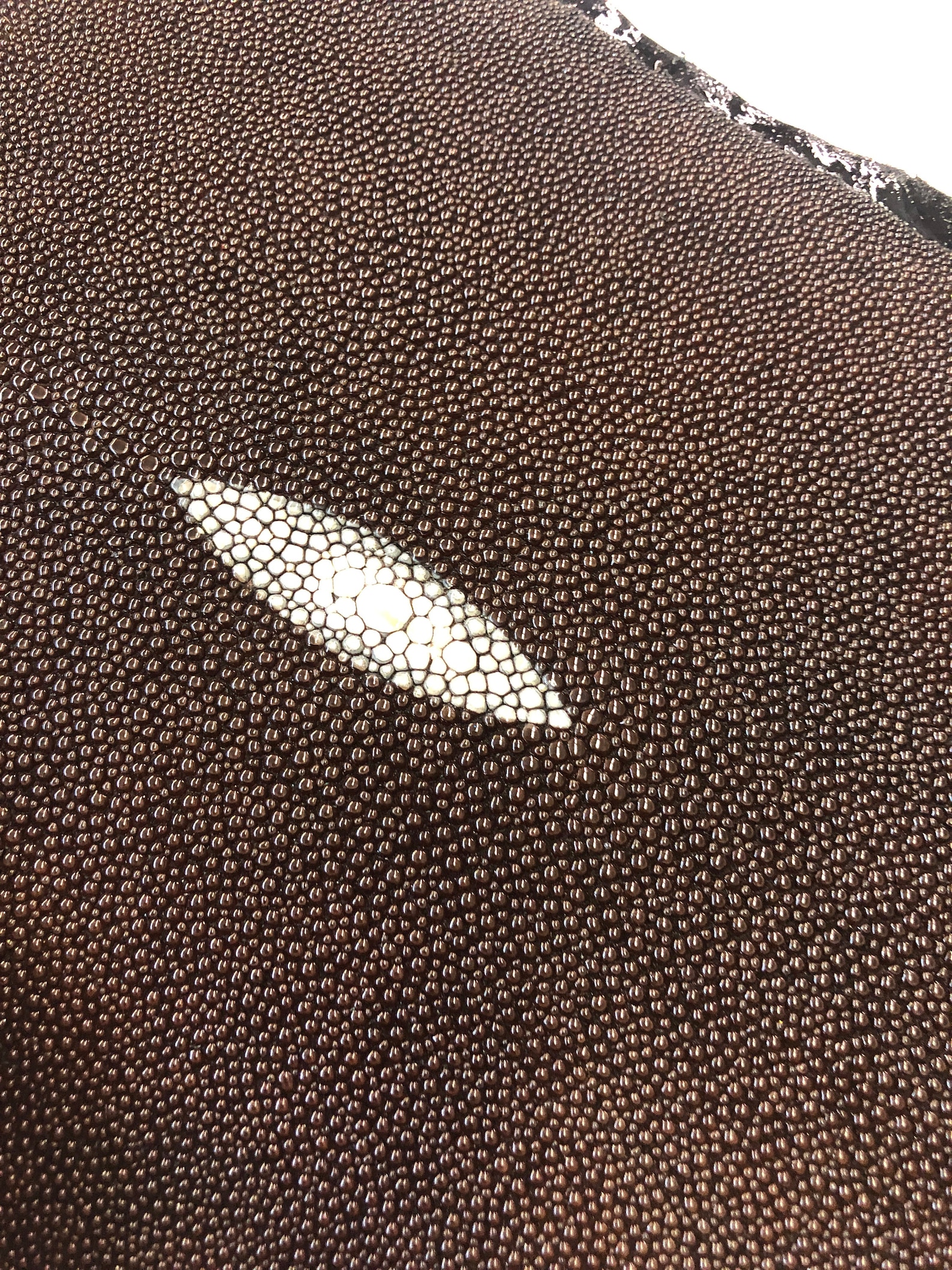 STINGRAY Brown GENUINE Stingray LEATHER Skins Size - Etsy