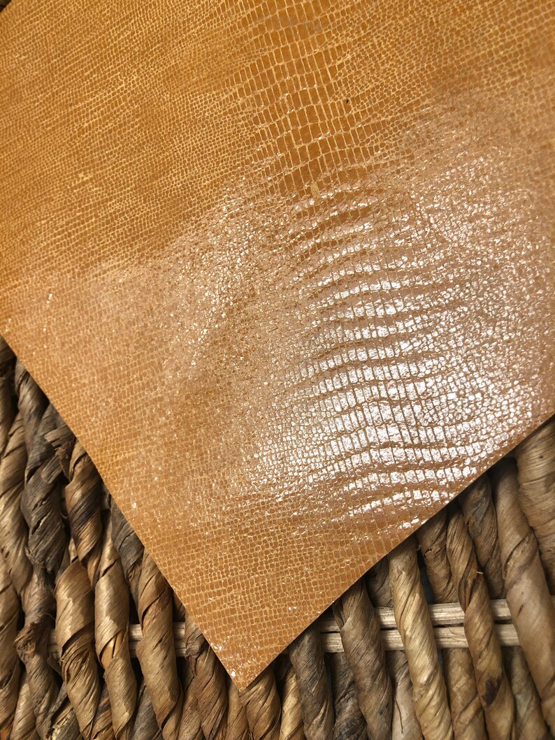 LEATHER Honey LIZARD 8x8 Shiny Scale Lizard Print Thickness - Etsy