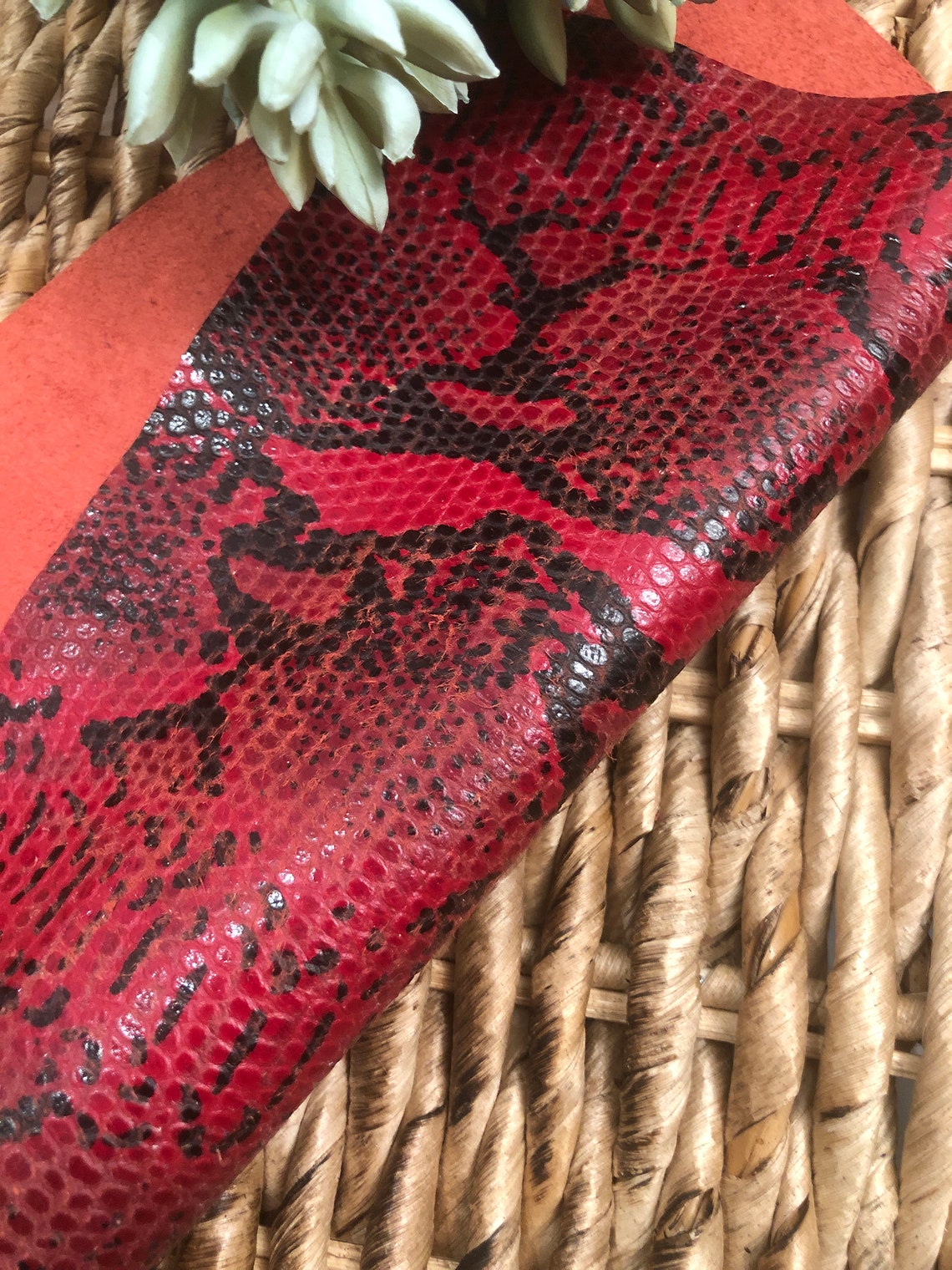 LEATHER 8x8 Fire Red Black Python Snakeskin Lambskin | Etsy