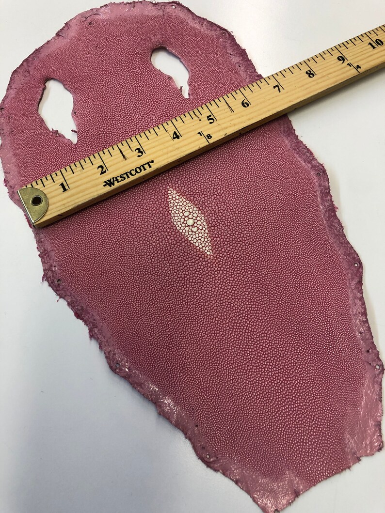 Pink STINGRAY Hide /GENUINE Stingray LEATHER Skins/ Size - Etsy