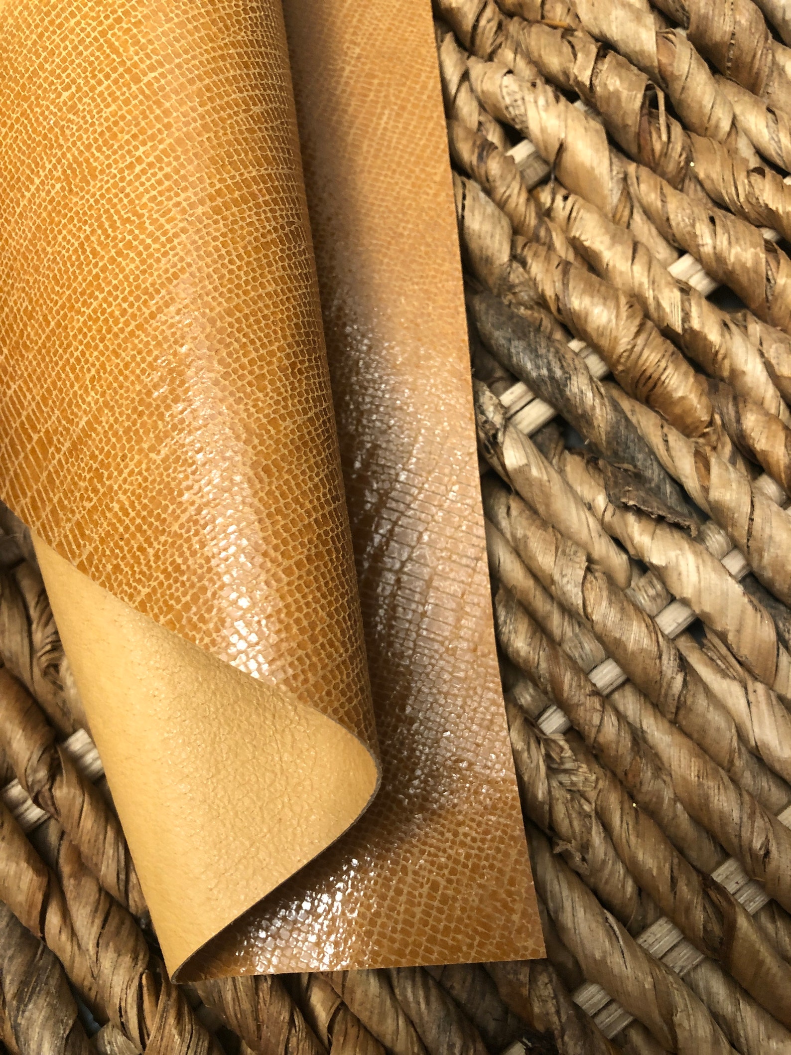 LEATHER Honey LIZARD 8x8 Shiny Scale Lizard Print Thickness | Etsy