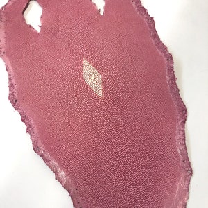 Pink STINGRAY Hide /GENUINE Stingray LEATHER Skins/ Size 5-6"x 10-12 ...