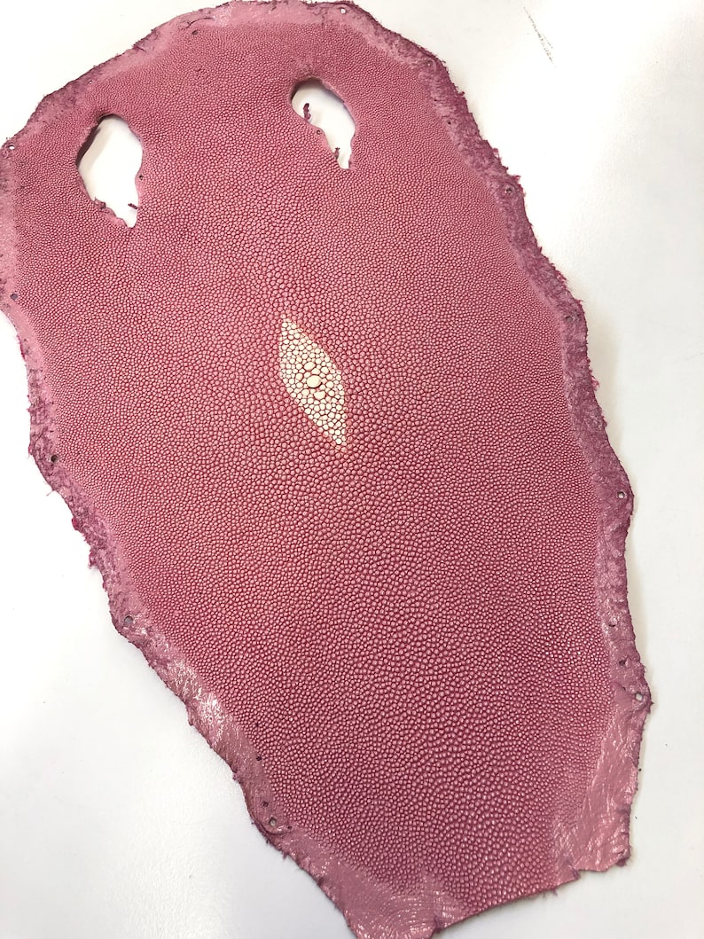 Pink STINGRAY Hide /GENUINE Stingray LEATHER Skins/ Size - Etsy