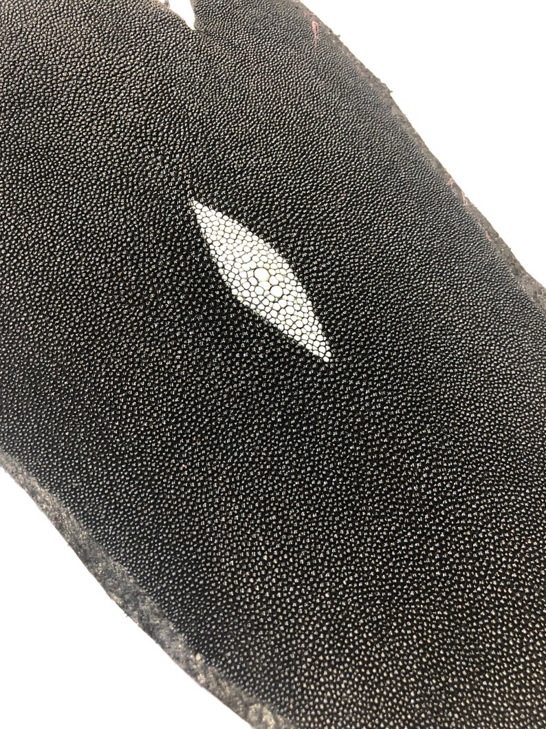 Black Real Exotic GENUINE Stingray LEATHER Hide Skins Skin | Etsy