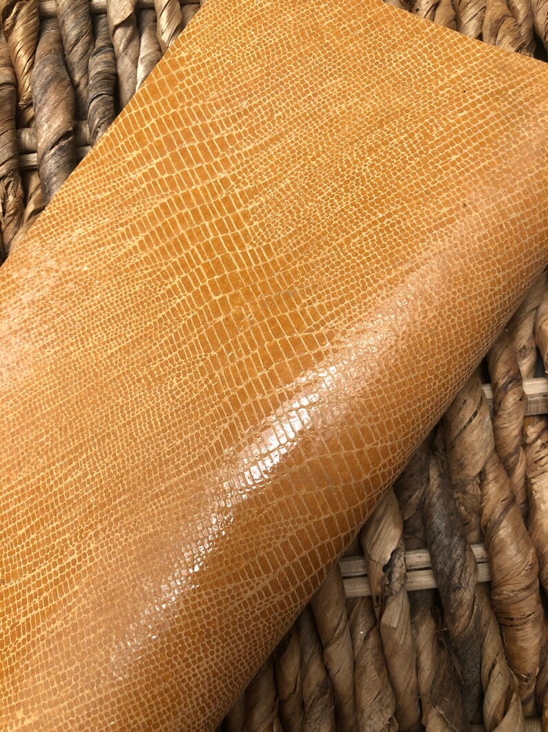 LEATHER Honey LIZARD 8x8 Shiny Scale Lizard Print Thickness | Etsy