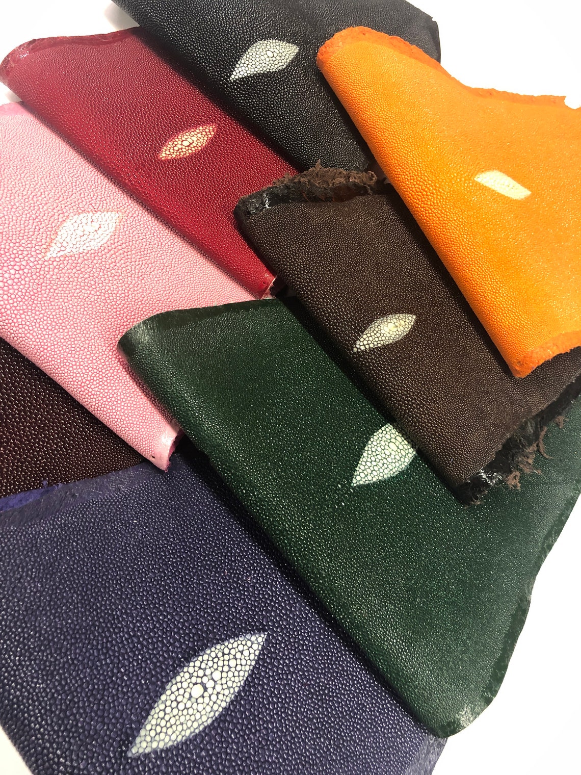 GENUINE Stingray LEATHER Skins in Many Colors | Etsy