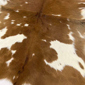 Dark Tan White HAIR on CALF Calfskin Print/ Natural Print on Hair on ...