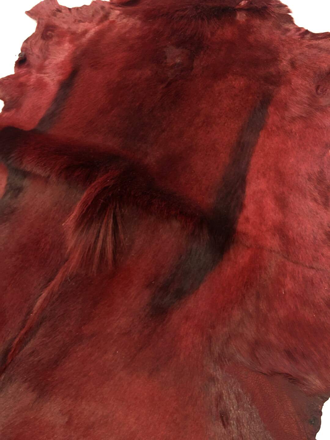 SPRINGBOK SKIN LEATHER Hair On, Wine Dark Red Springbuck Hide ...