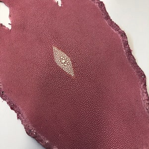 Pink STINGRAY Hide /GENUINE Stingray LEATHER Skins/ Size 5-6"x 10-12 ...
