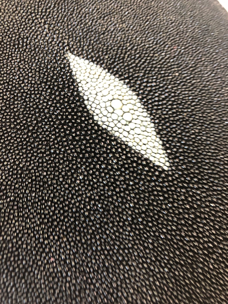 Black Real Exotic GENUINE Stingray LEATHER Hide Skins Skin | Etsy