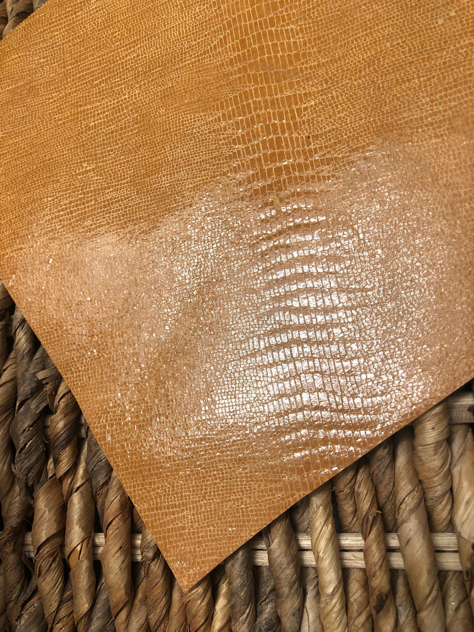 LEATHER Honey LIZARD 8x8 Shiny Scale Lizard Print Thickness - Etsy