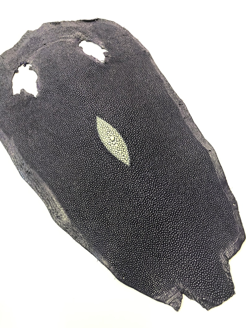 SINGRAY PURPLE Real Genuine Exotic Stingray LEATHER Hide Skin - Etsy
