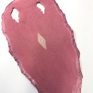 Pink STINGRAY Hide /GENUINE Stingray LEATHER Skins/ Size 5-6"x 10-12 ...