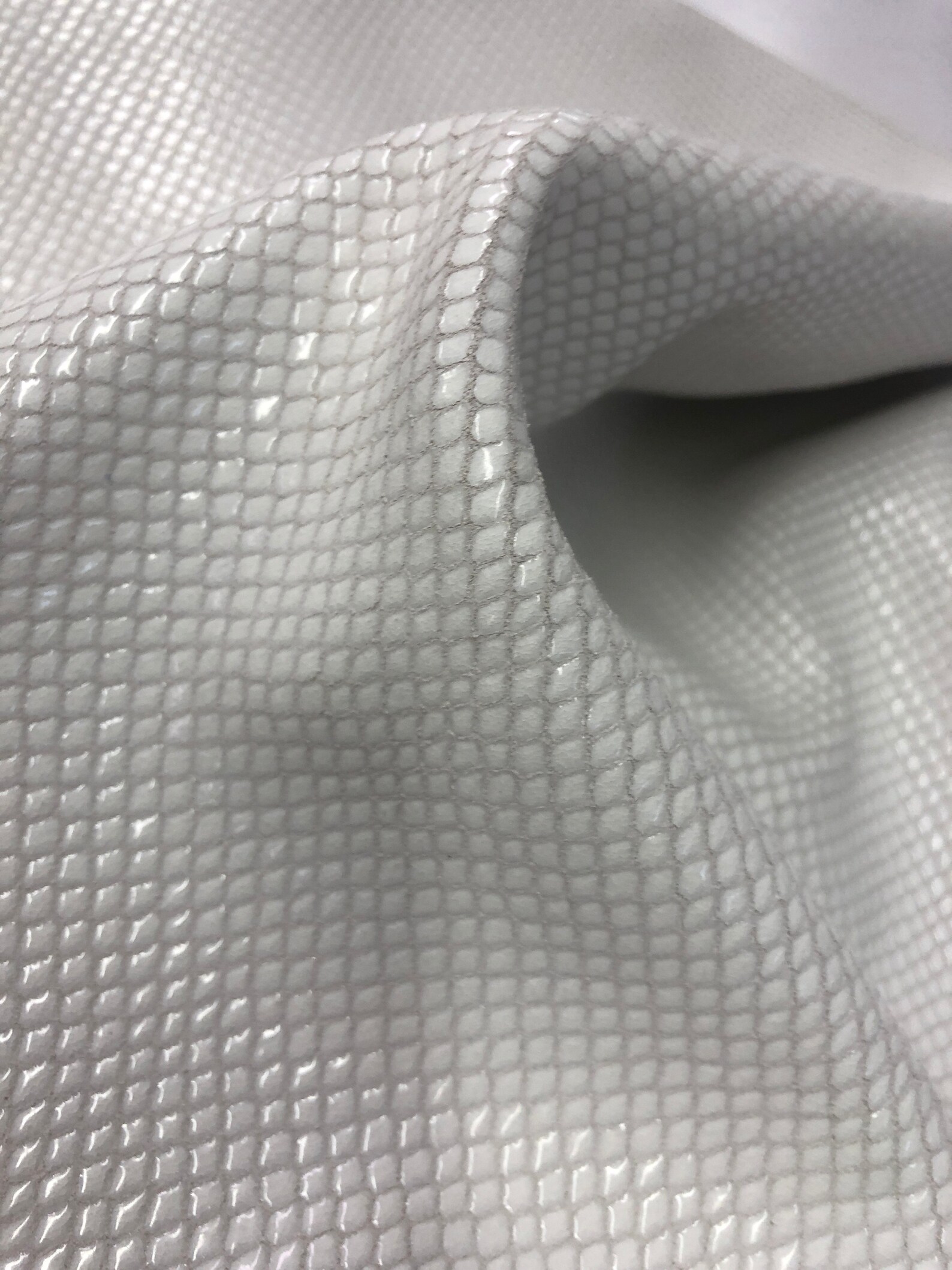 WHITE Snake 8x10 LEATHER Scale/Leather Bright | Etsy