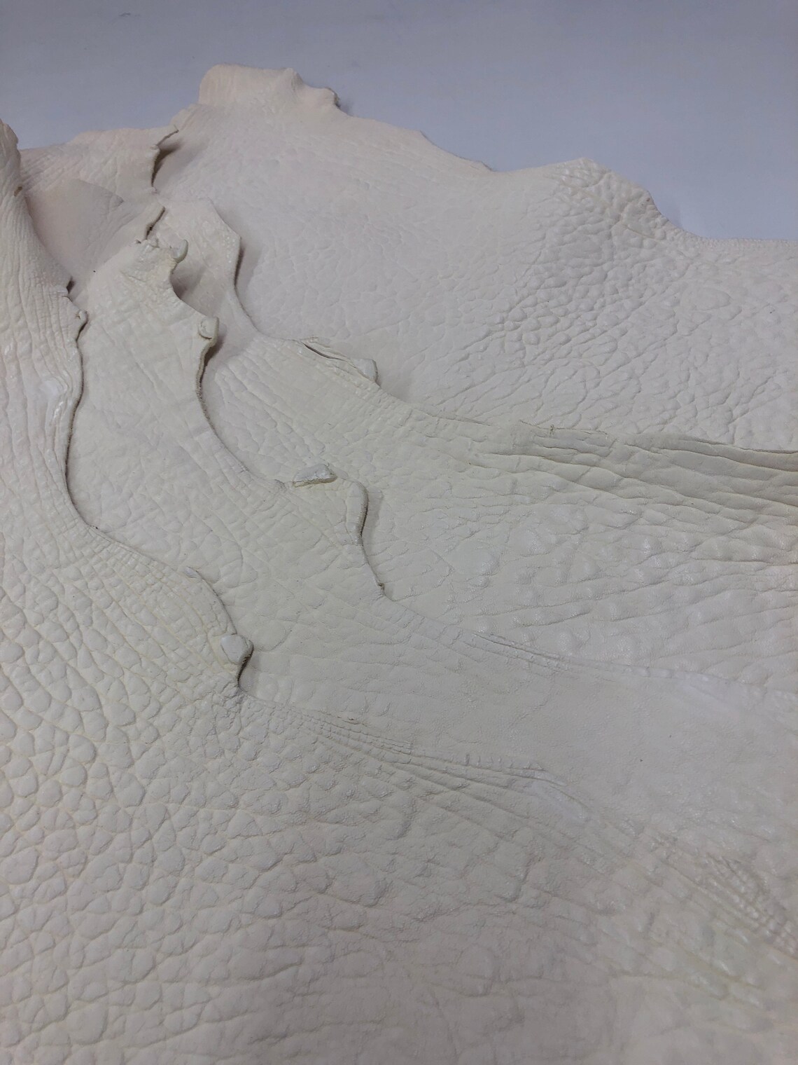 LEATHER TEXTURED Goatskin Hide, Thickness 1.2 Mm, Skin Size Average 6 ...