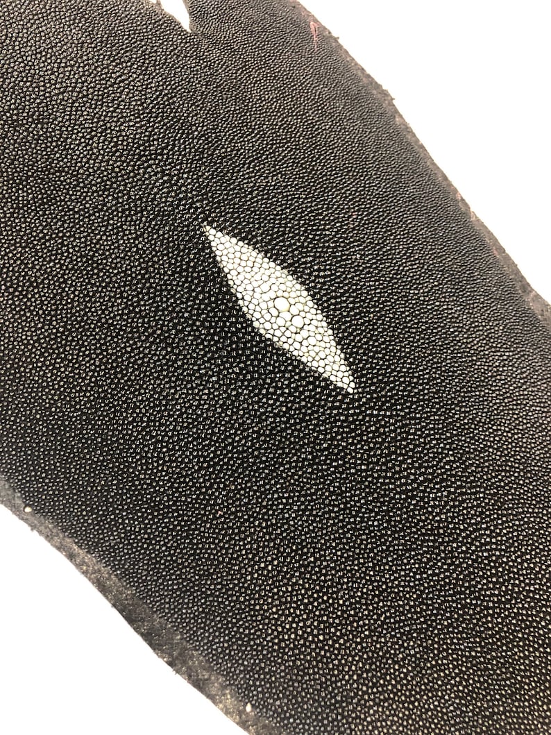 Black Real Exotic GENUINE Stingray LEATHER Hide Skins Skin | Etsy