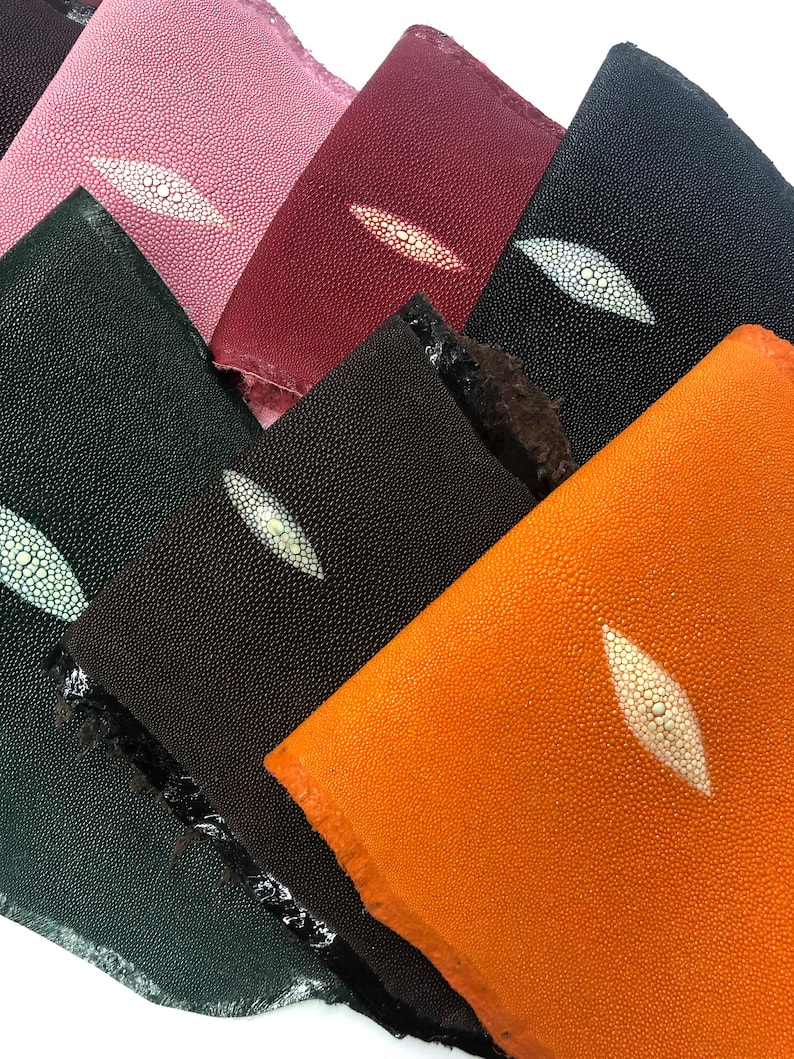 GENUINE Stingray LEATHER Skins in Many Colors | Etsy