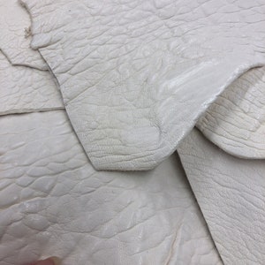 LEATHER TEXTURED Goatskin Hide, Thickness 1.2 Mm, Skin Size Average 6 ...