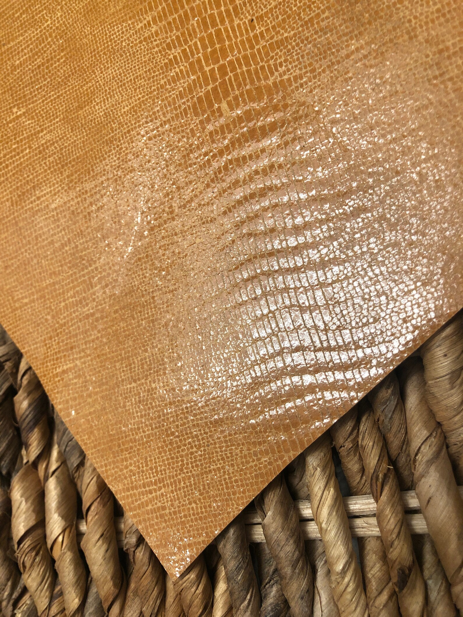 LEATHER Honey LIZARD 8x8 Shiny Scale Lizard Print Thickness | Etsy