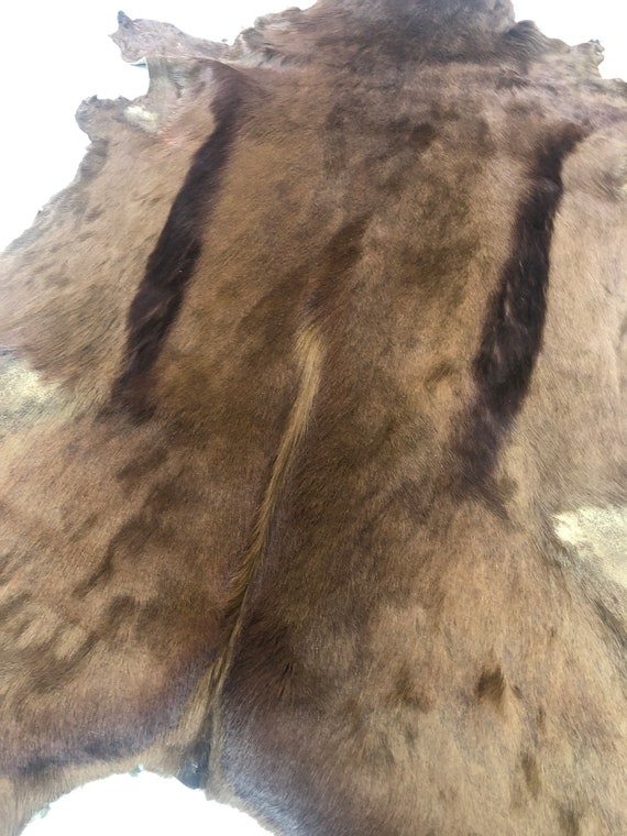 SPRINGBOK SKIN LEATHER Hair On Brown Springbuck Hide | Etsy