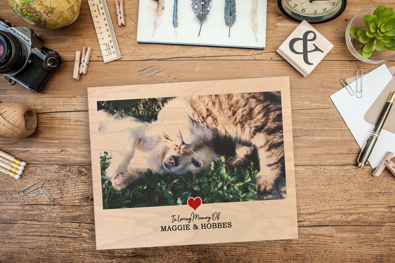Cat Portrait Cat Memorial Loss of a Cat Cat Frame Cat Loss - Etsy
