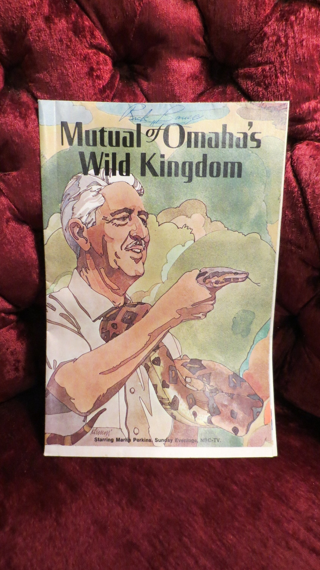 Vintage Mutual of Omaha's Wild Kingdom Foldable Comic Poster Circa 1969 ...