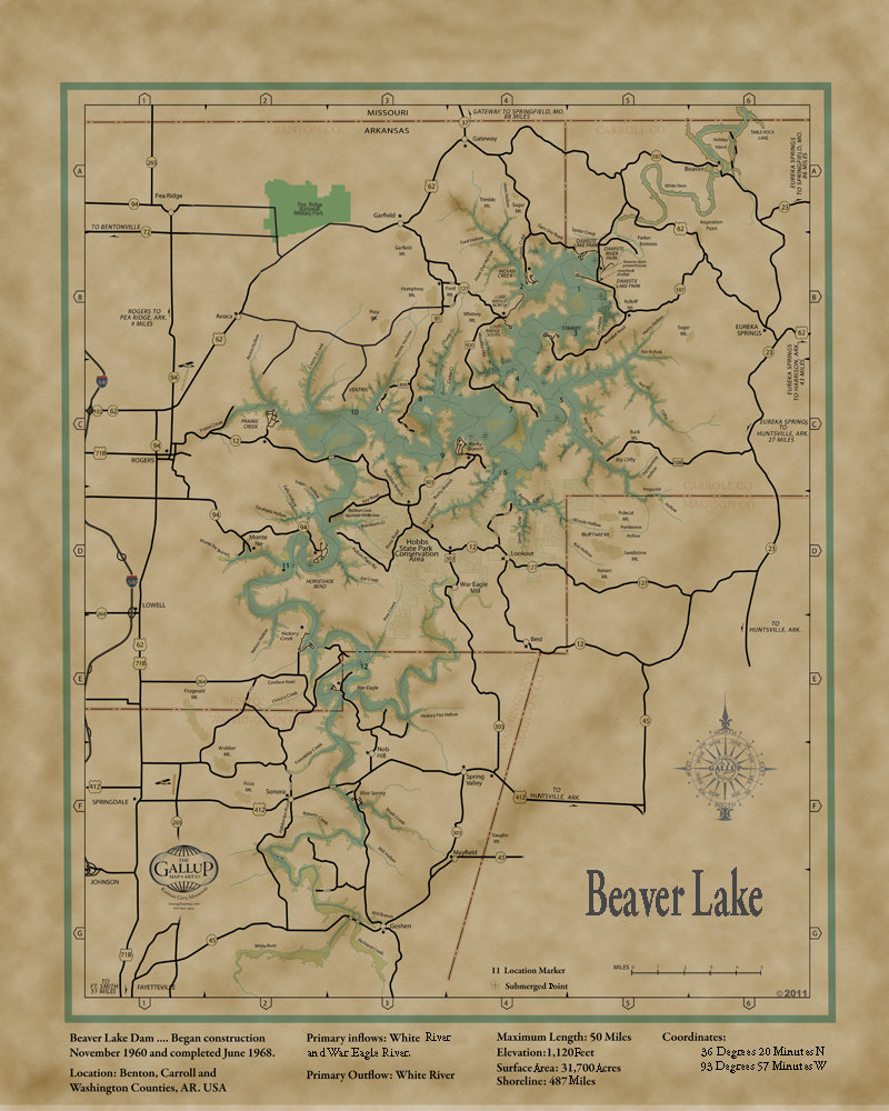 Beaver Lake Classic Vintage Style Map With Lake Facts - Etsy
