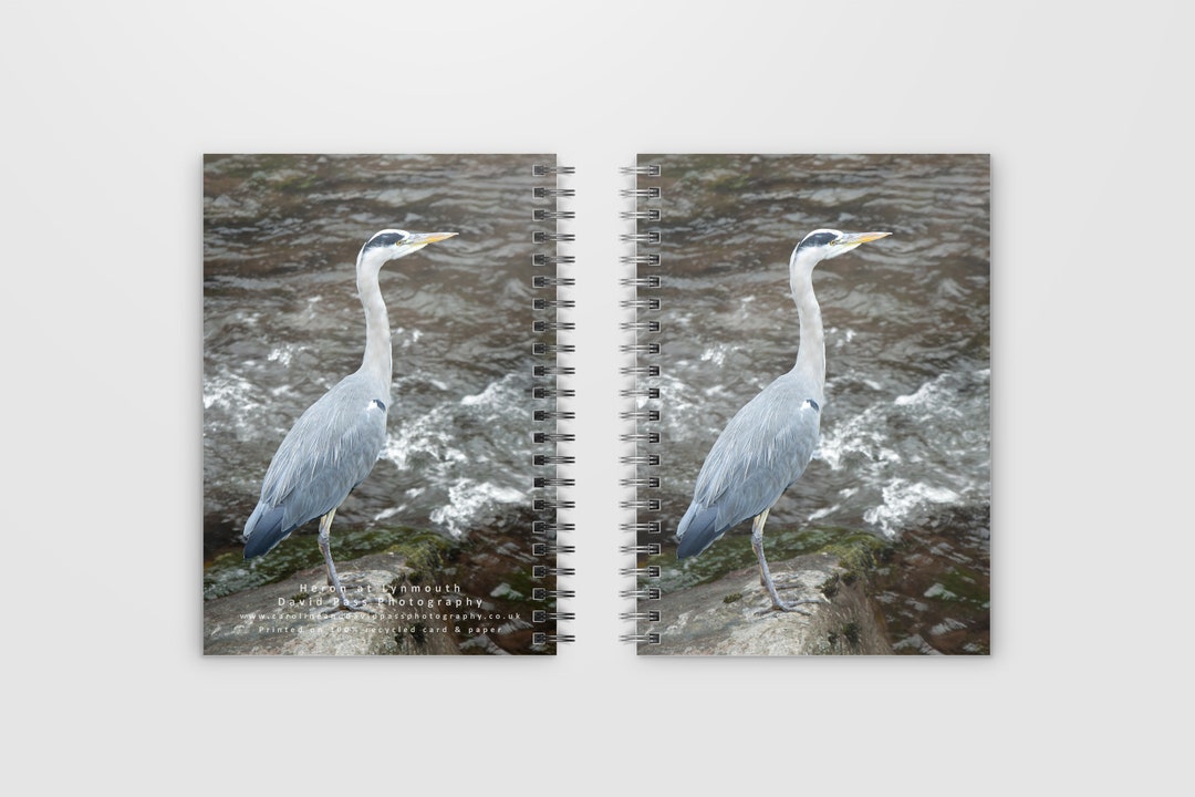 A5 or A6 Spiral Bound Notebook Journal 'heron at - Etsy