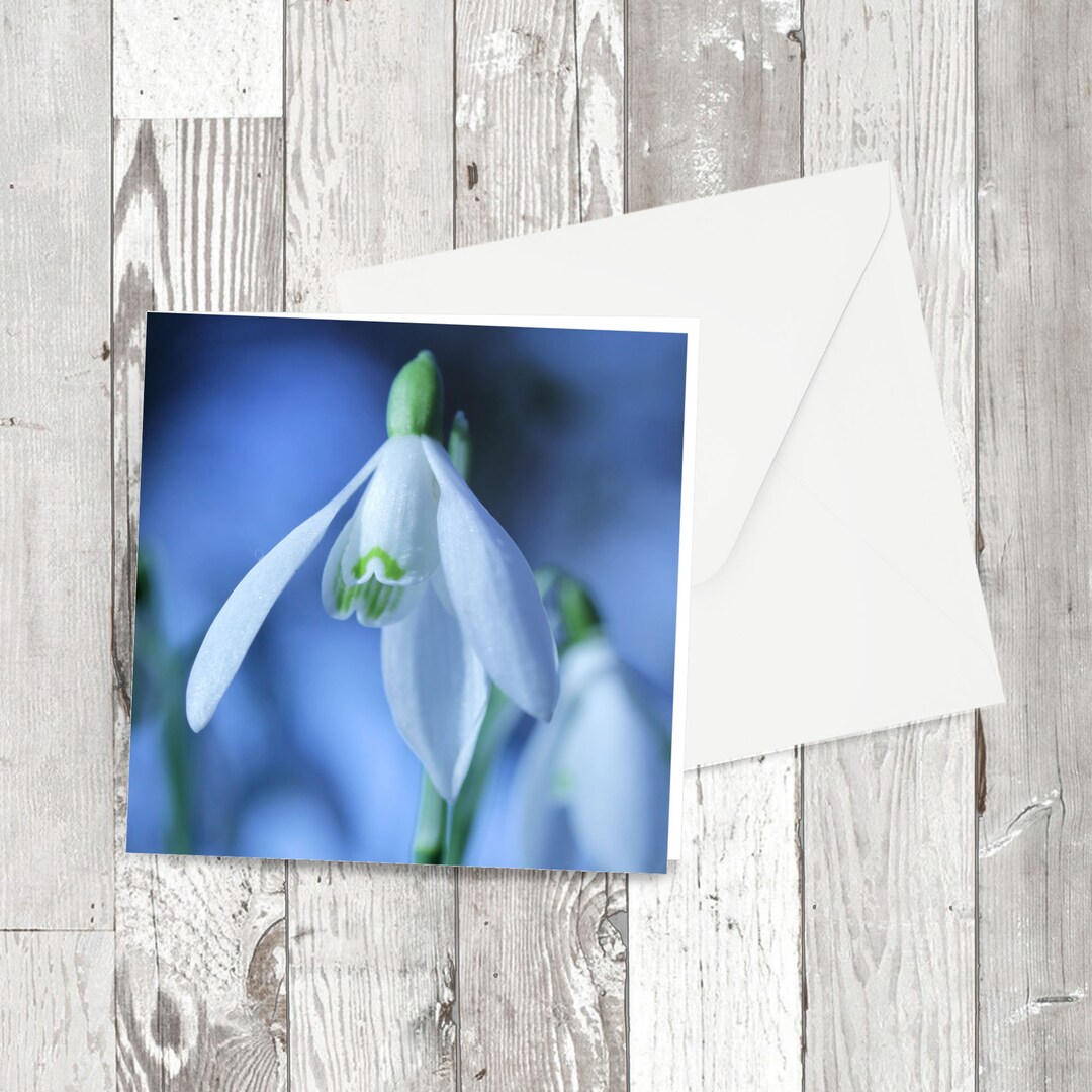 Greetings Card - 'snowdrop' - Square Floral Photographic Image - Etsy