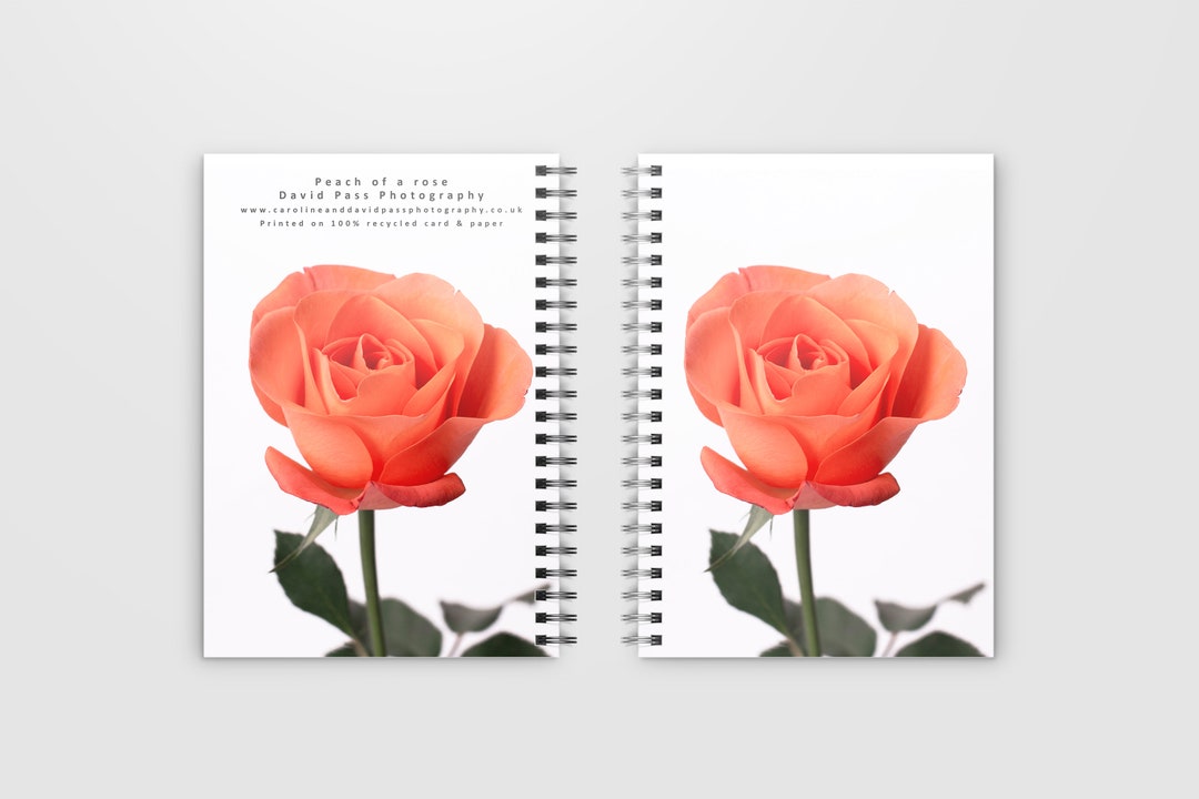 A5 or A6 Spiral Bound Notebook, Journal 'peach of a Rose' Single Rose ...