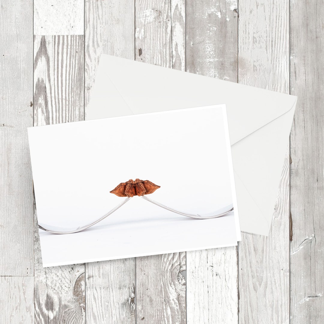 Greetings Cards 'A Fine Balance' Food Photographic - Etsy
