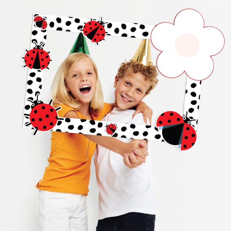 DIGITAL FILE Ladybug Birthday Photo Booth Frame, Ladybug Birthday Frame ...