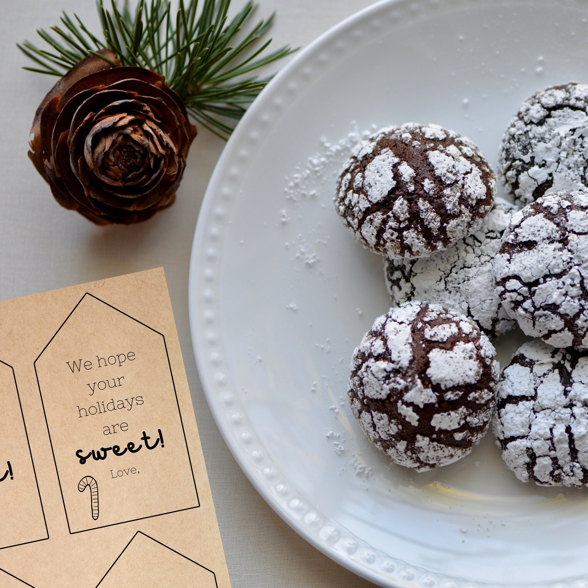 Neighbor / Friends / Teacher Christmas Holiday Gift Tag Digital ...