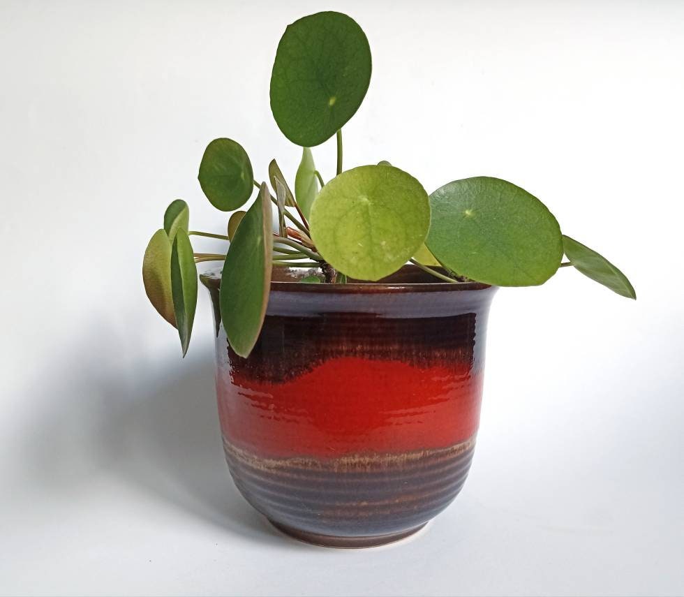 Ceramic Planter/flower Pot by Scheurich 807-14brown Red - Etsy