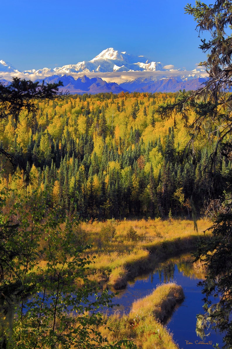 Mt Mckinley/denali and Twister Creek Print on Metal Alaska - Etsy