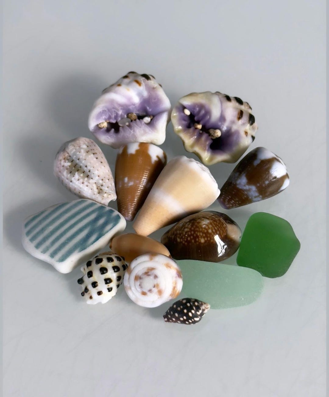 Beautiful Shells, She Glass, Sea Pottery Mix Box - Etsy