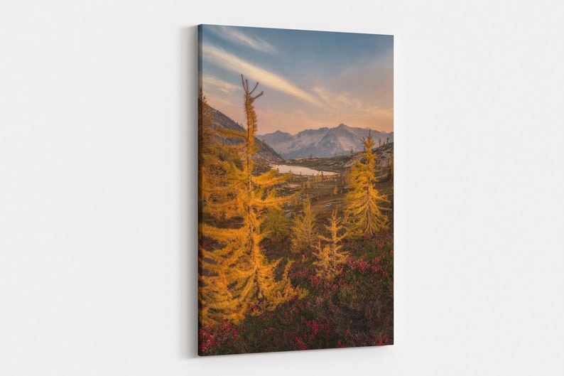 North Cascades Golden Larch Photo | PNW Wall Art - Etsy