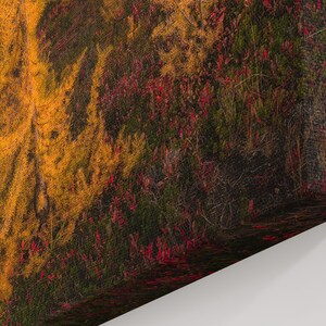 North Cascades Golden Larch Photo | PNW Wall Art - Etsy