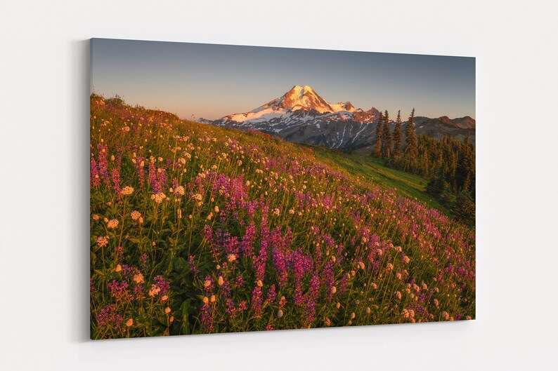 Mt Baker Wildflowers Large Canvas | Photo Print | Wall Art | Pacific ...