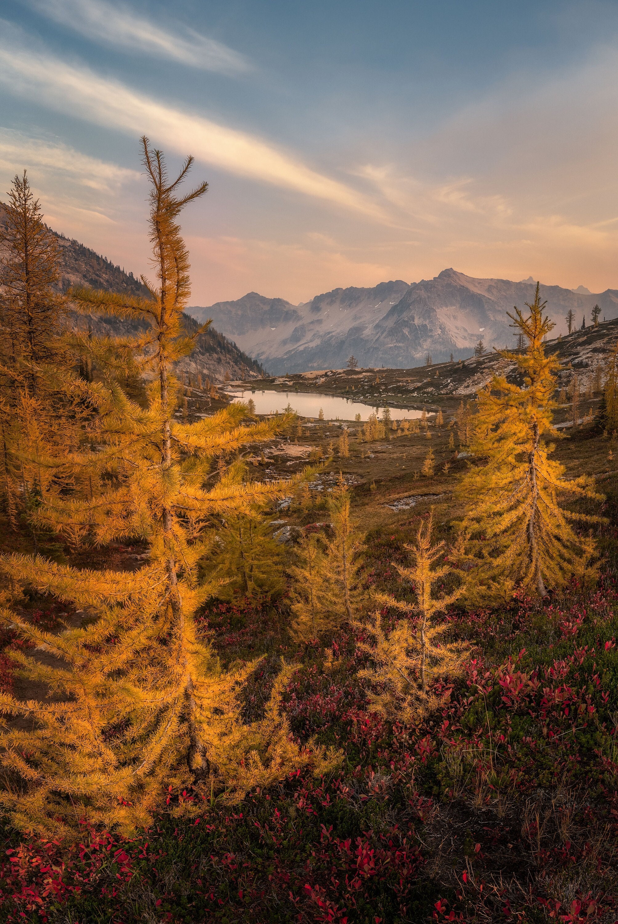 North Cascades Golden Larch Photo | PNW Wall Art - Etsy