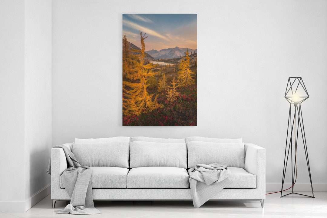 North Cascades Golden Larch Photo | PNW Wall Art - Etsy