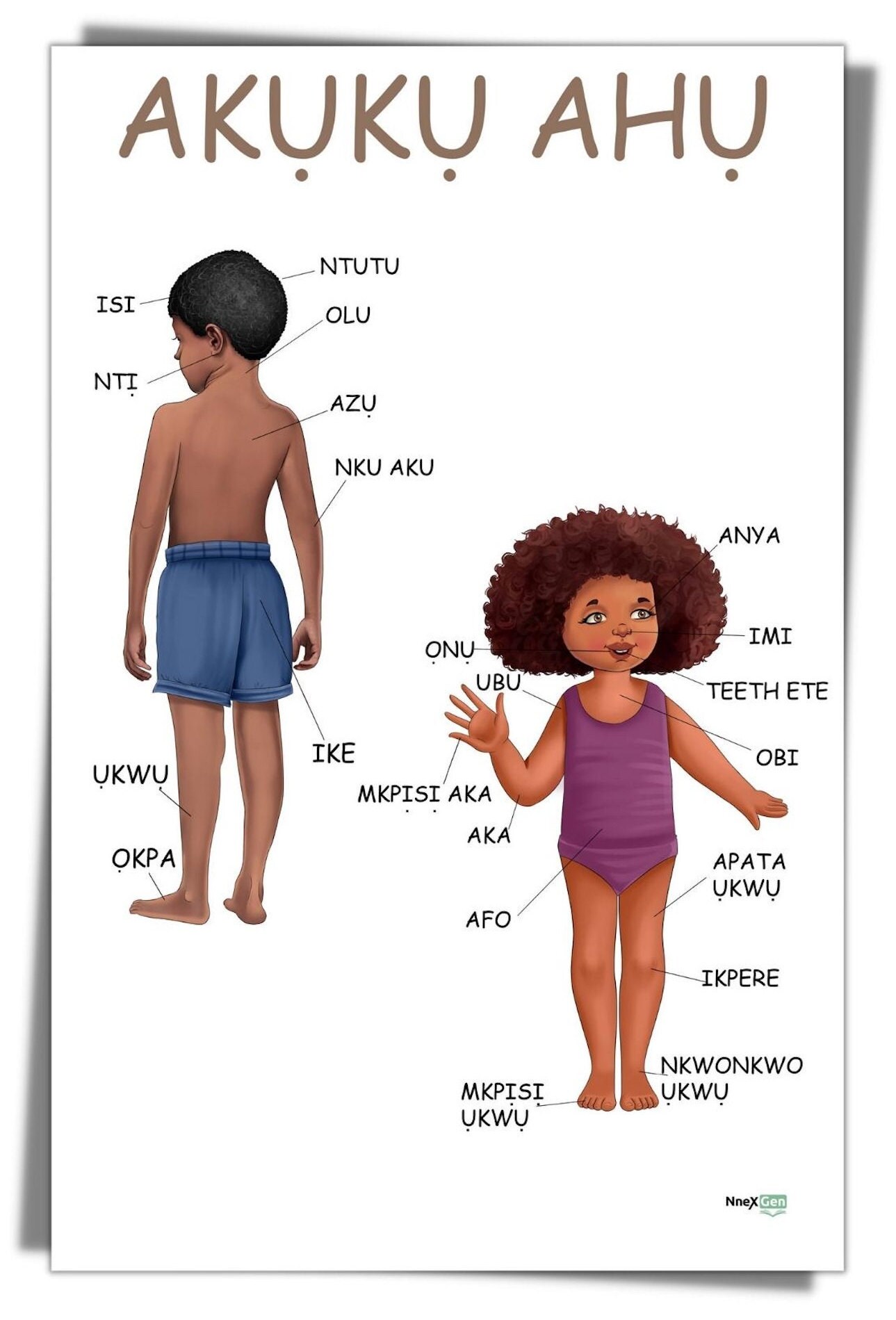 Parts of the Body & Numbers Poster Prints in Igbo Montessori - Etsy