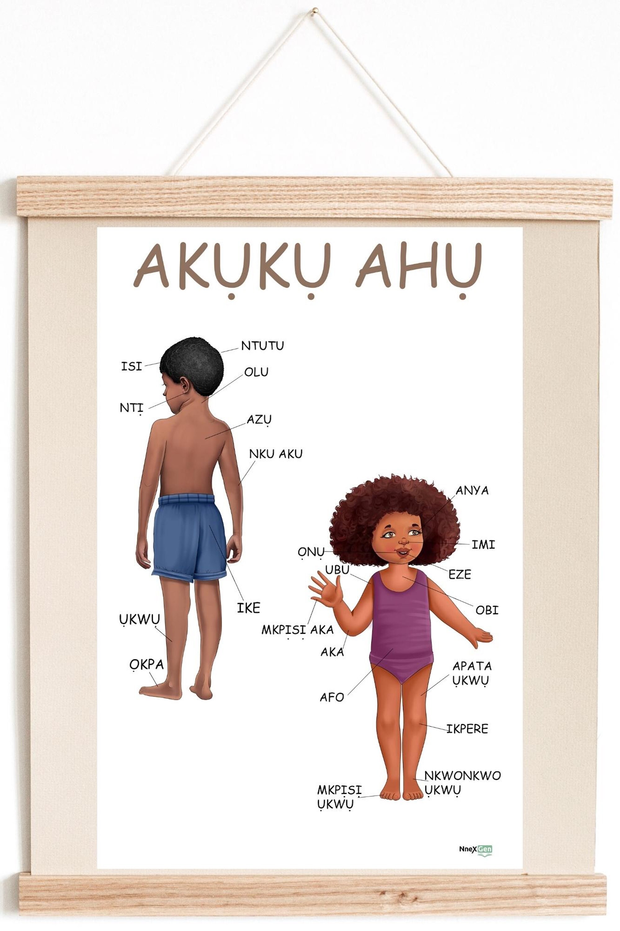 Parts of the Body & Numbers Poster Prints in Igbo Montessori - Etsy