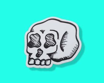 Girl Skull Vinyl Decal Sticker - Etsy