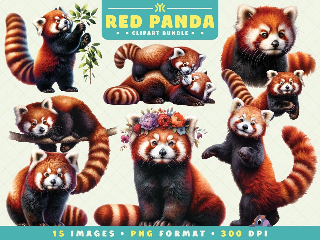 Red Panda Clipart, 15 High Quality Pngs, Watercolor Clipart Bundle, Red ...
